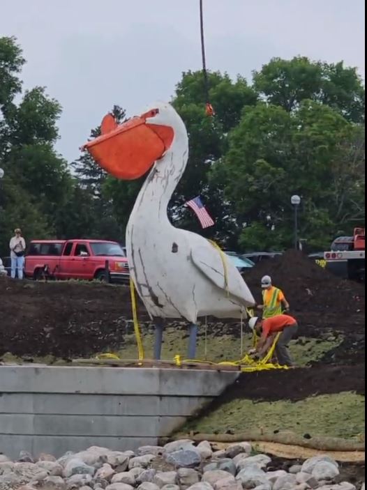 Pelican Pete Statue Returns | Fergus Now